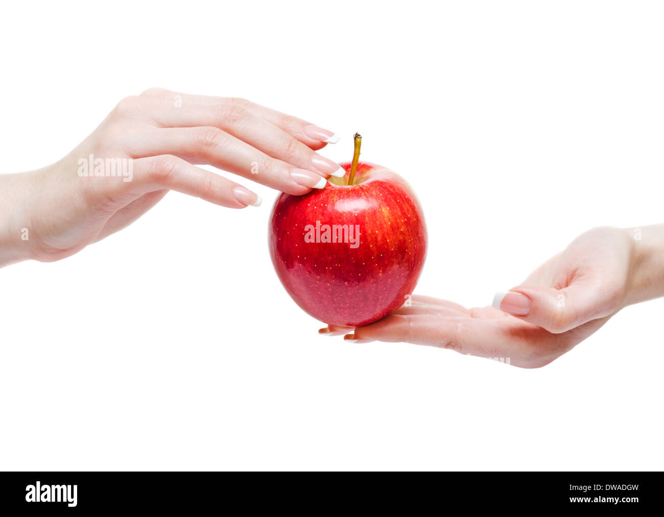 Between the hands hi-res stock photography and images - Alamy