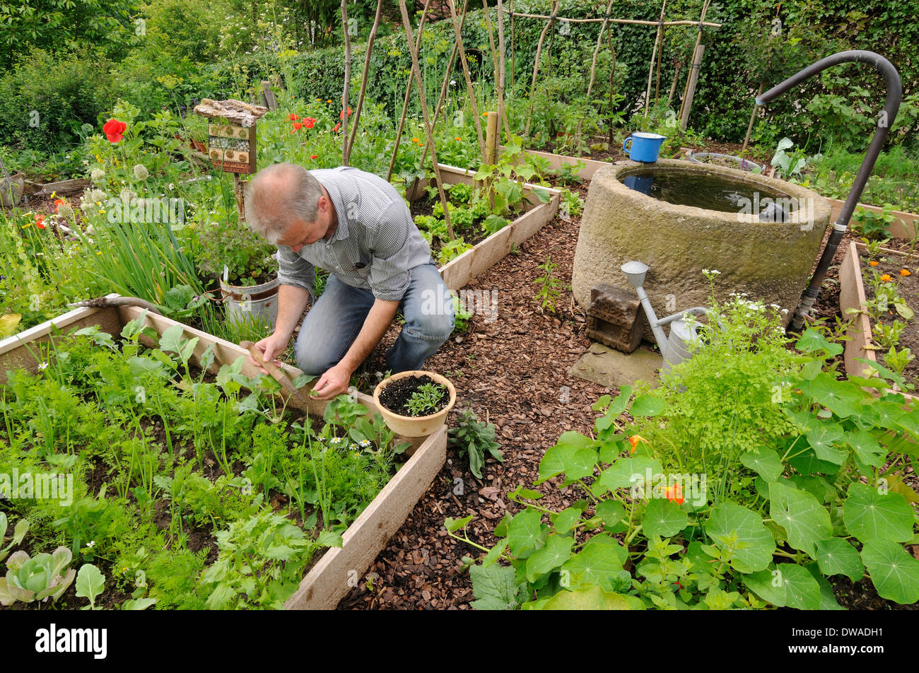 The organic gardens hi-res stock photography and images - Alamy