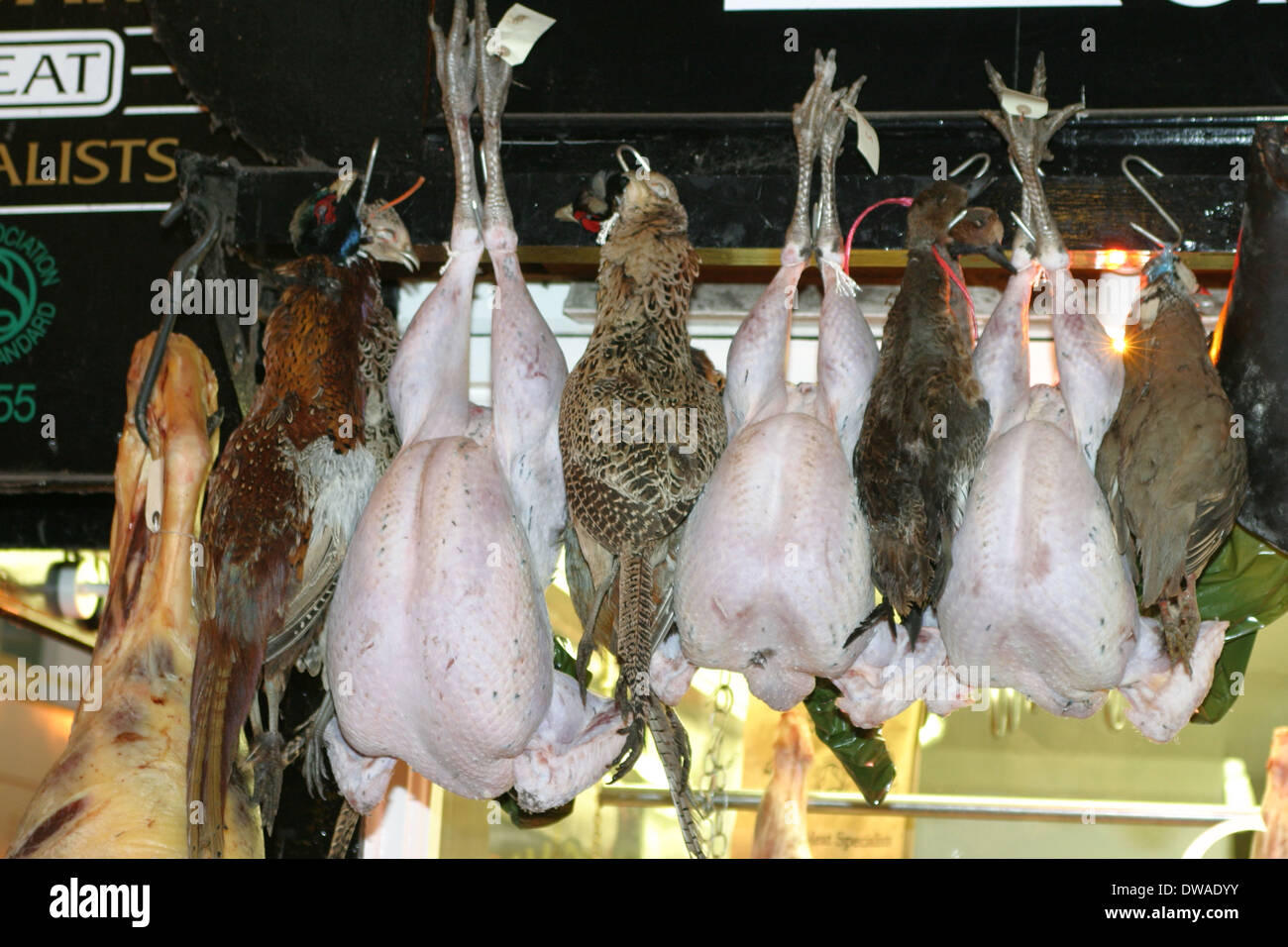 Turkeys christmas hung hi-res stock photography and images - Alamy