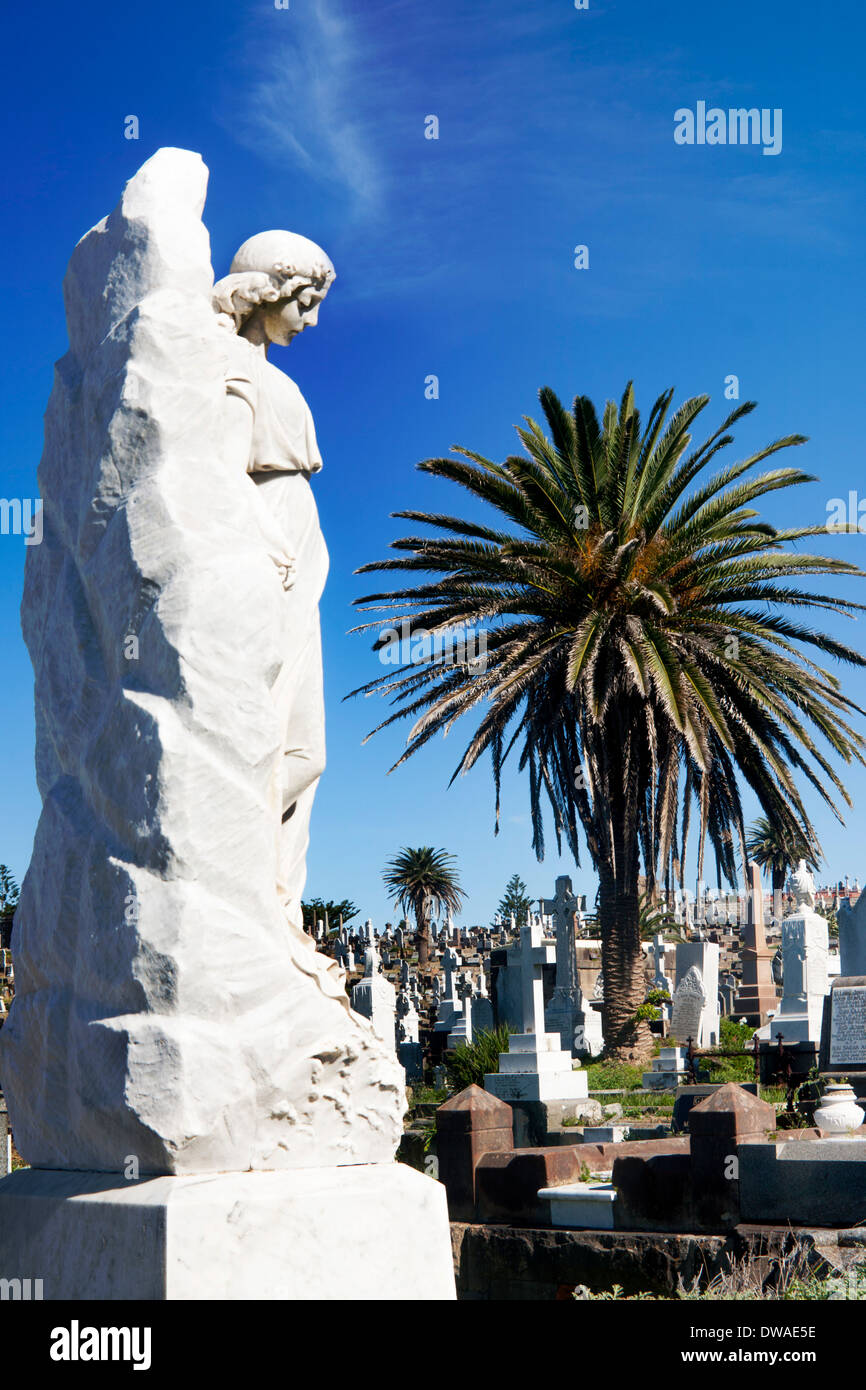 Waverley Cemetery White angel statue on grave gravestone and palm tree ...