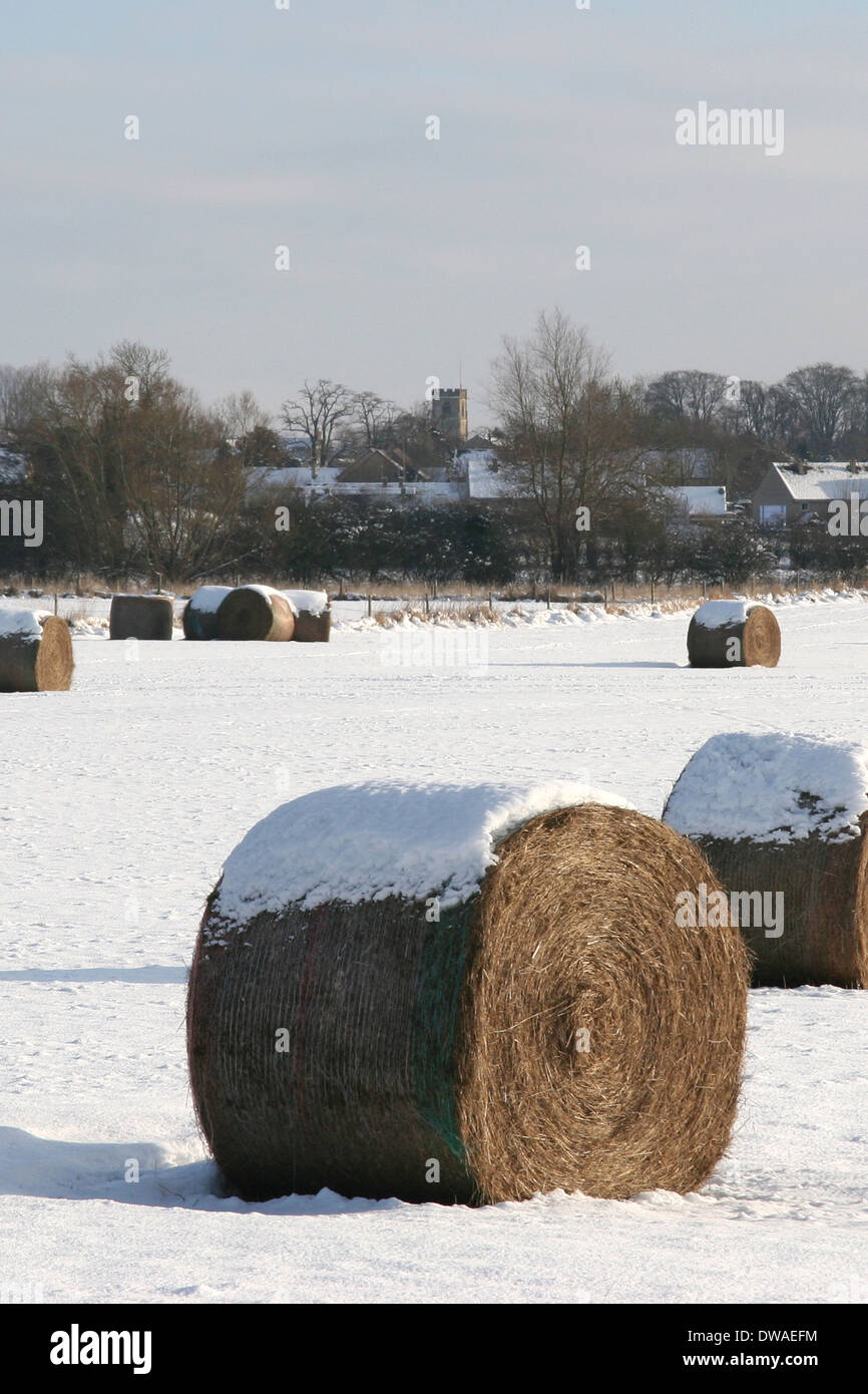 Hay bales covered in winter snow in a field in Eynsham Oxfordshire UK ...