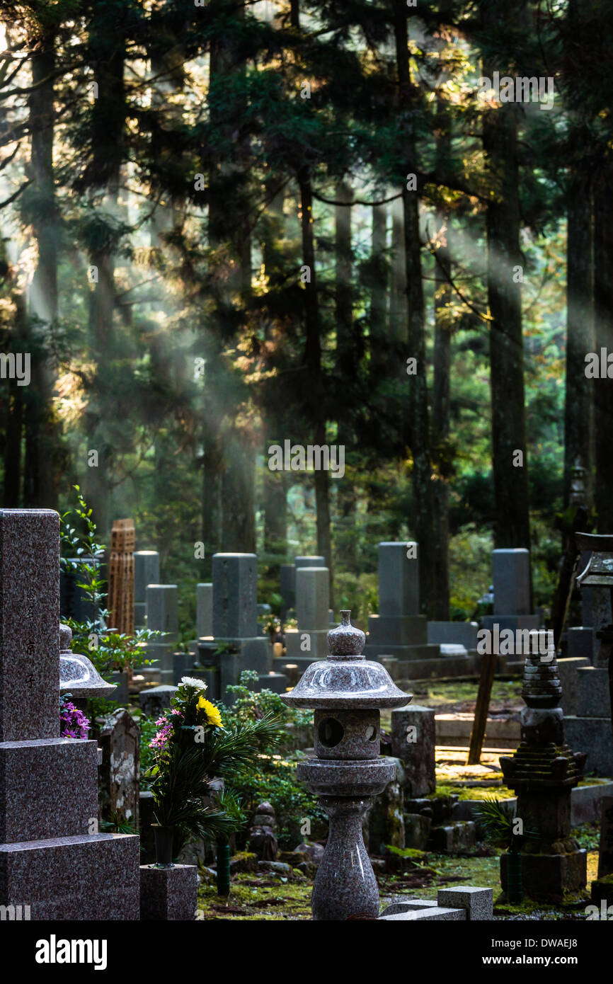 Morning light beams hi-res stock photography and images - Alamy