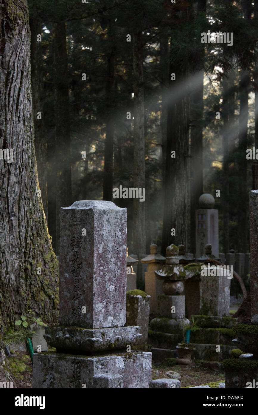 Morning light beams hi-res stock photography and images - Alamy