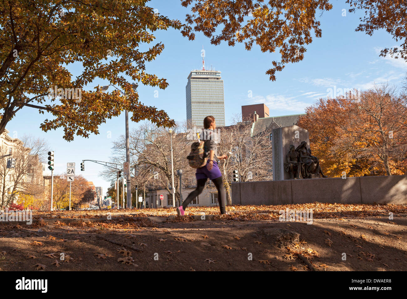 Massachusetts nature walk hi-res stock photography and images - Alamy