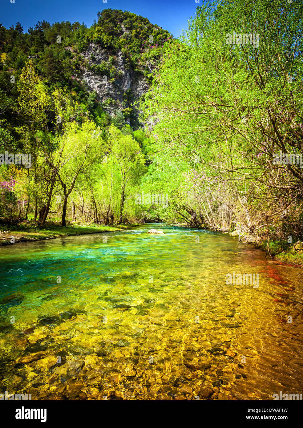 Beautiful Japanese Gardens, gorgeous landscape, fresh green trees in ...