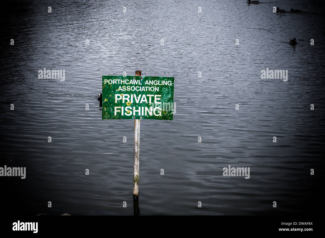 A warning sign in Pwll-Y-Waun Pond. Porthcawl, Wales. United Kingdom ...