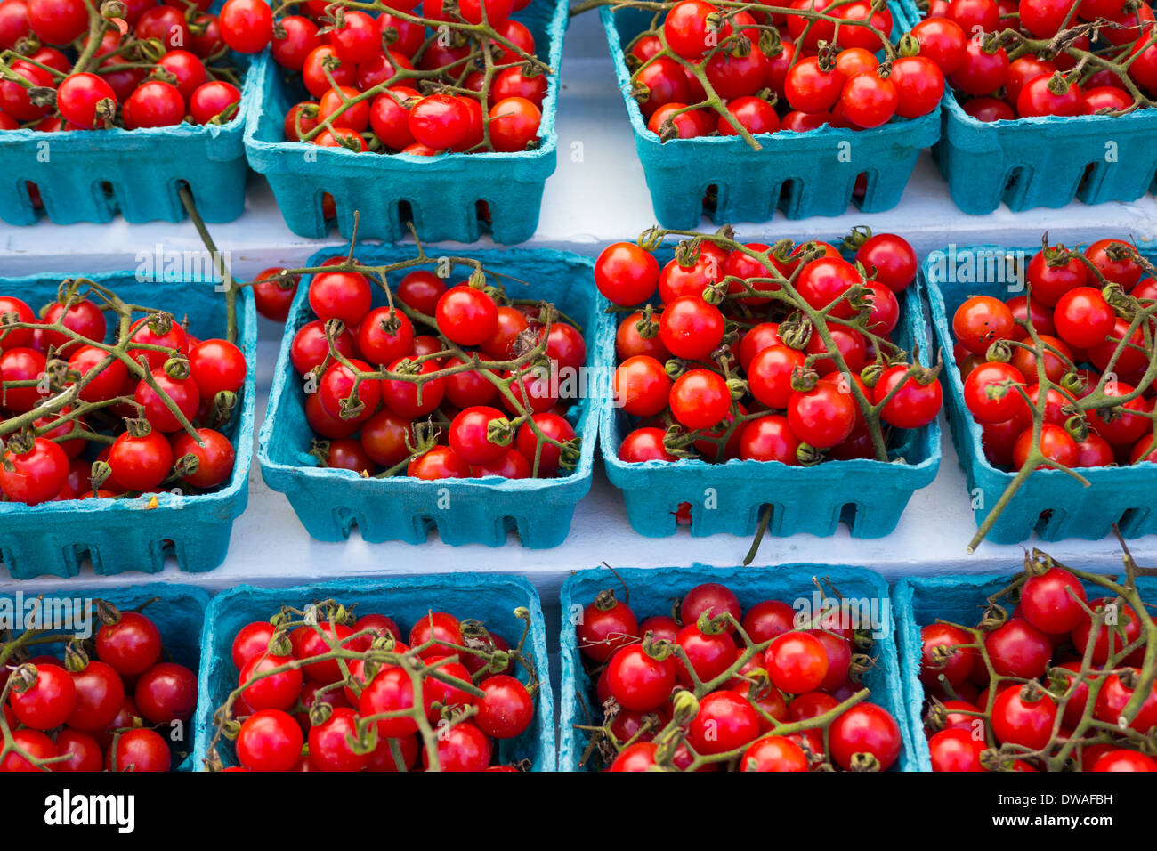 Cherry tomatoes on display hi-res stock photography and images - Alamy
