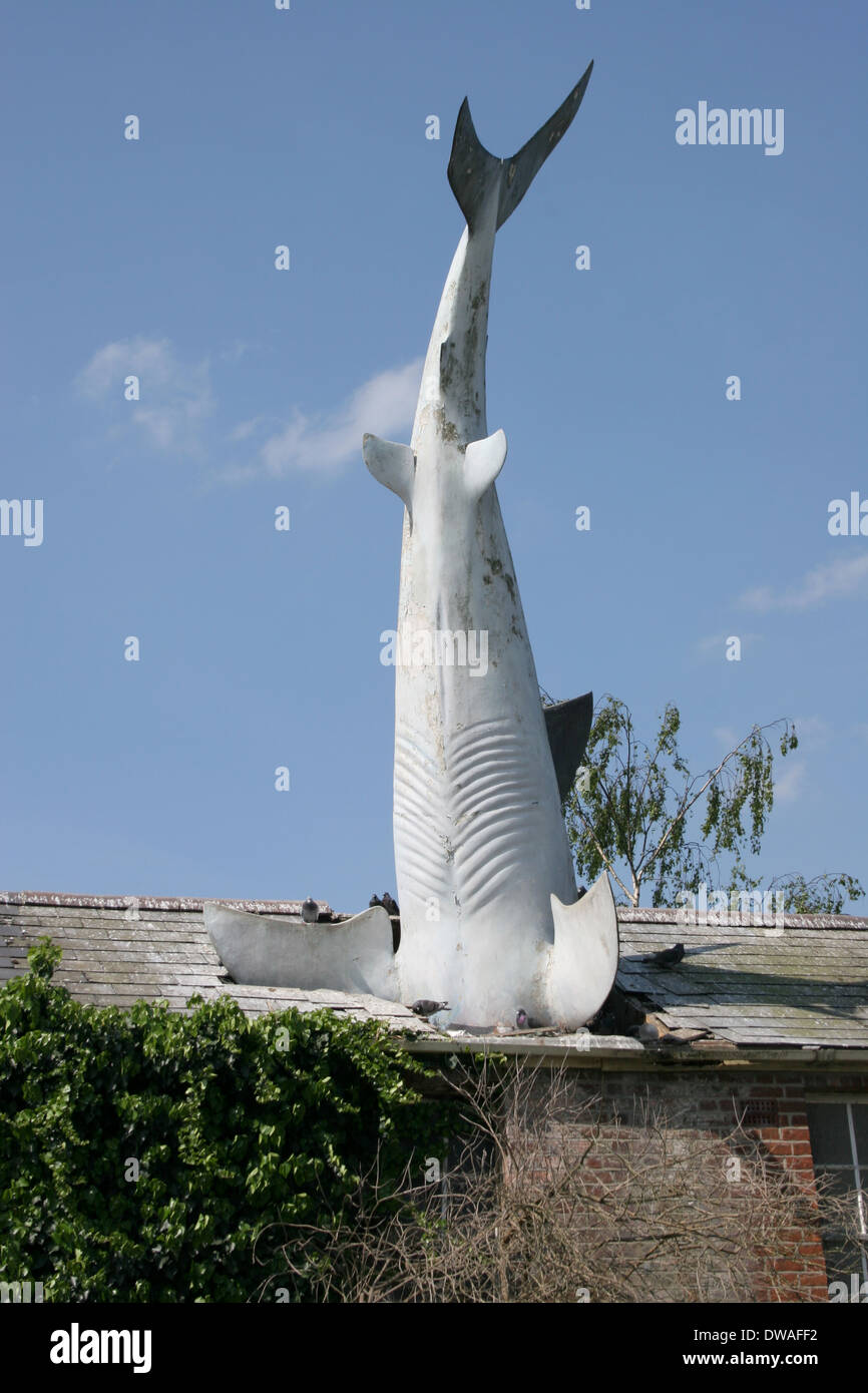 Shark in the roof sculpture hi-res stock photography and images - Alamy