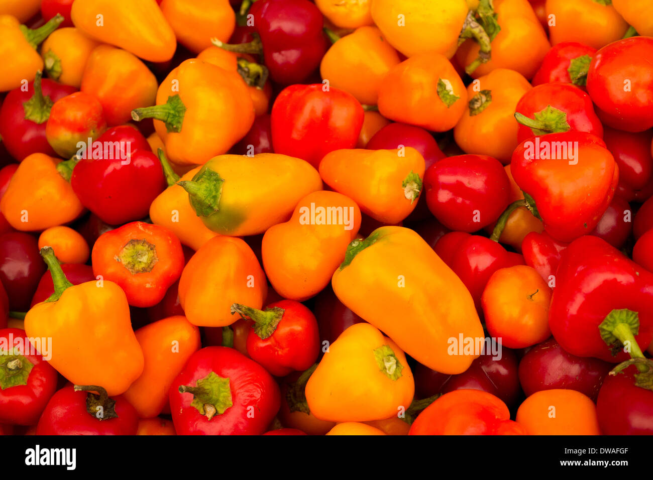 Assorted peppers hi-res stock photography and images - Alamy