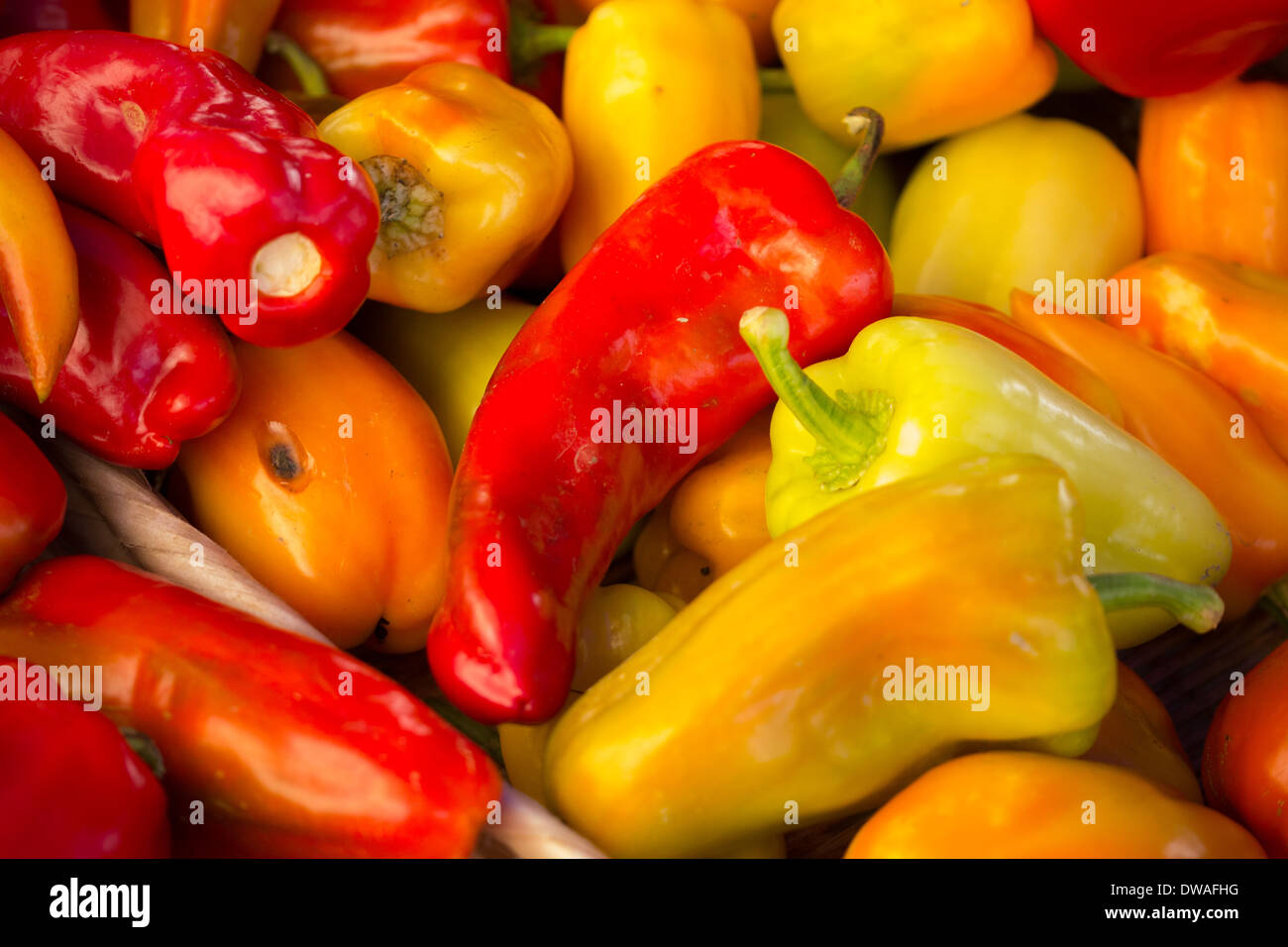 Assorted peppers hi-res stock photography and images - Alamy