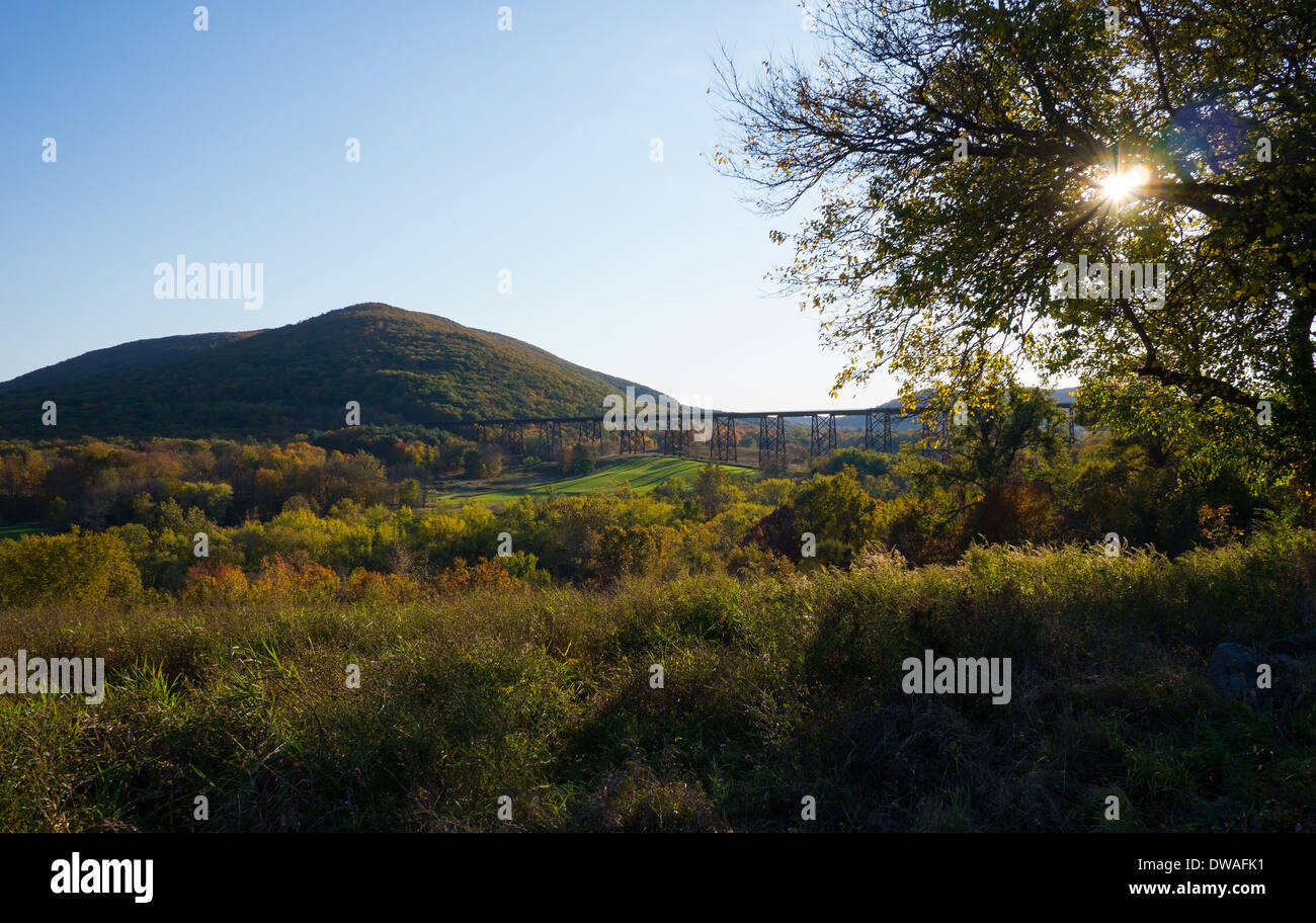 Train on trestle hi-res stock photography and images - Alamy