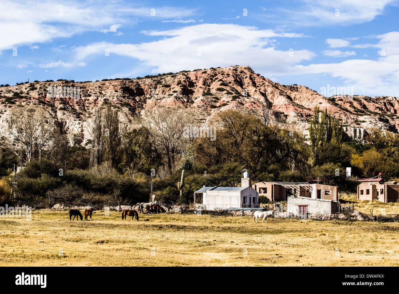 Quebrada de Humahuaca in Argentina Stock Photo - Alamy