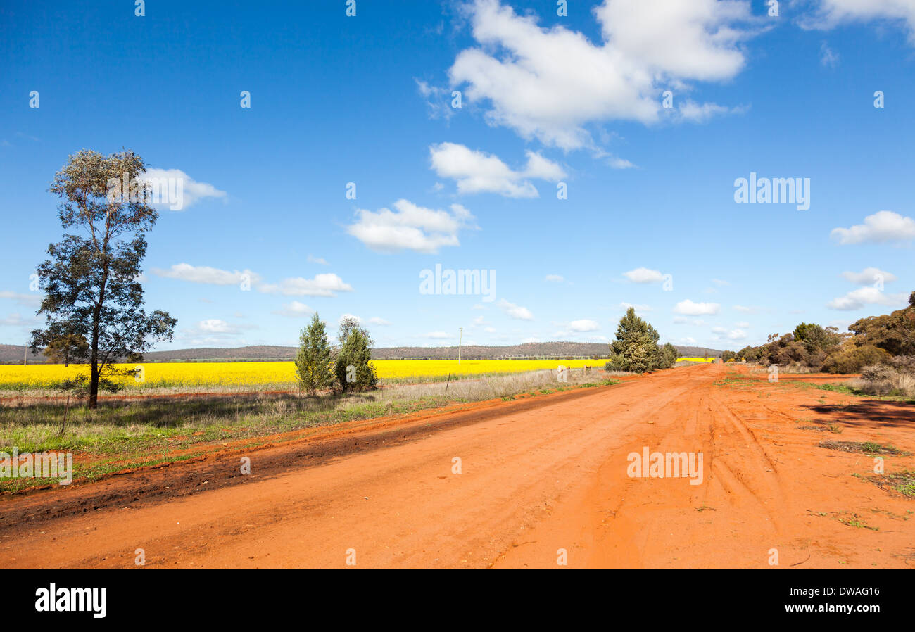 Cowra australia hi-res stock photography and images - Alamy