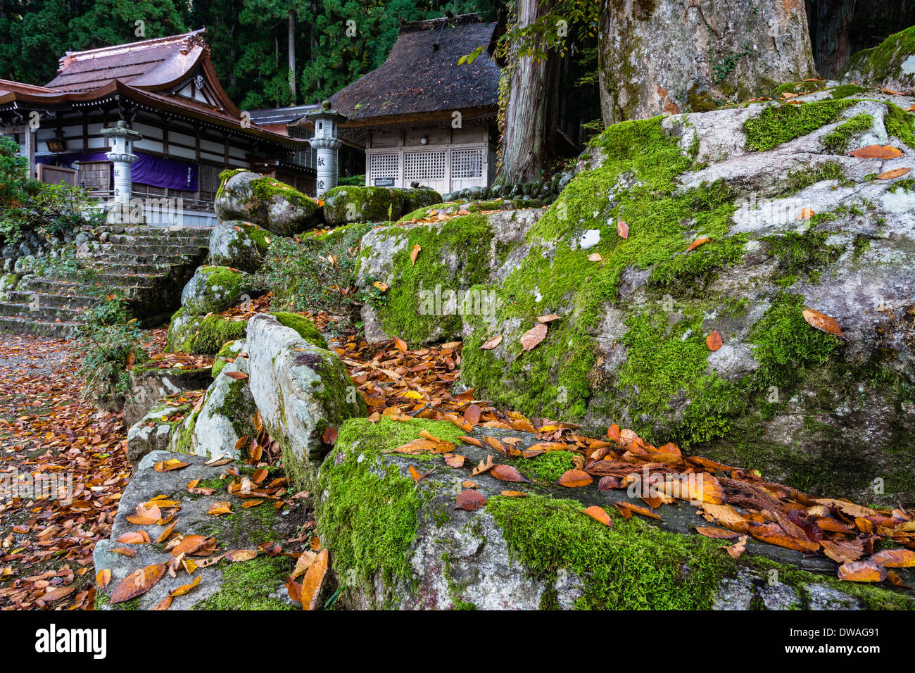 Go to shrine hi-res stock photography and images - Alamy