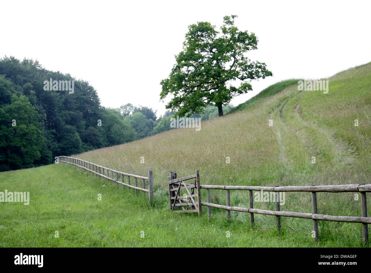 Stonesfield oxfordshire hi-res stock photography and images - Alamy