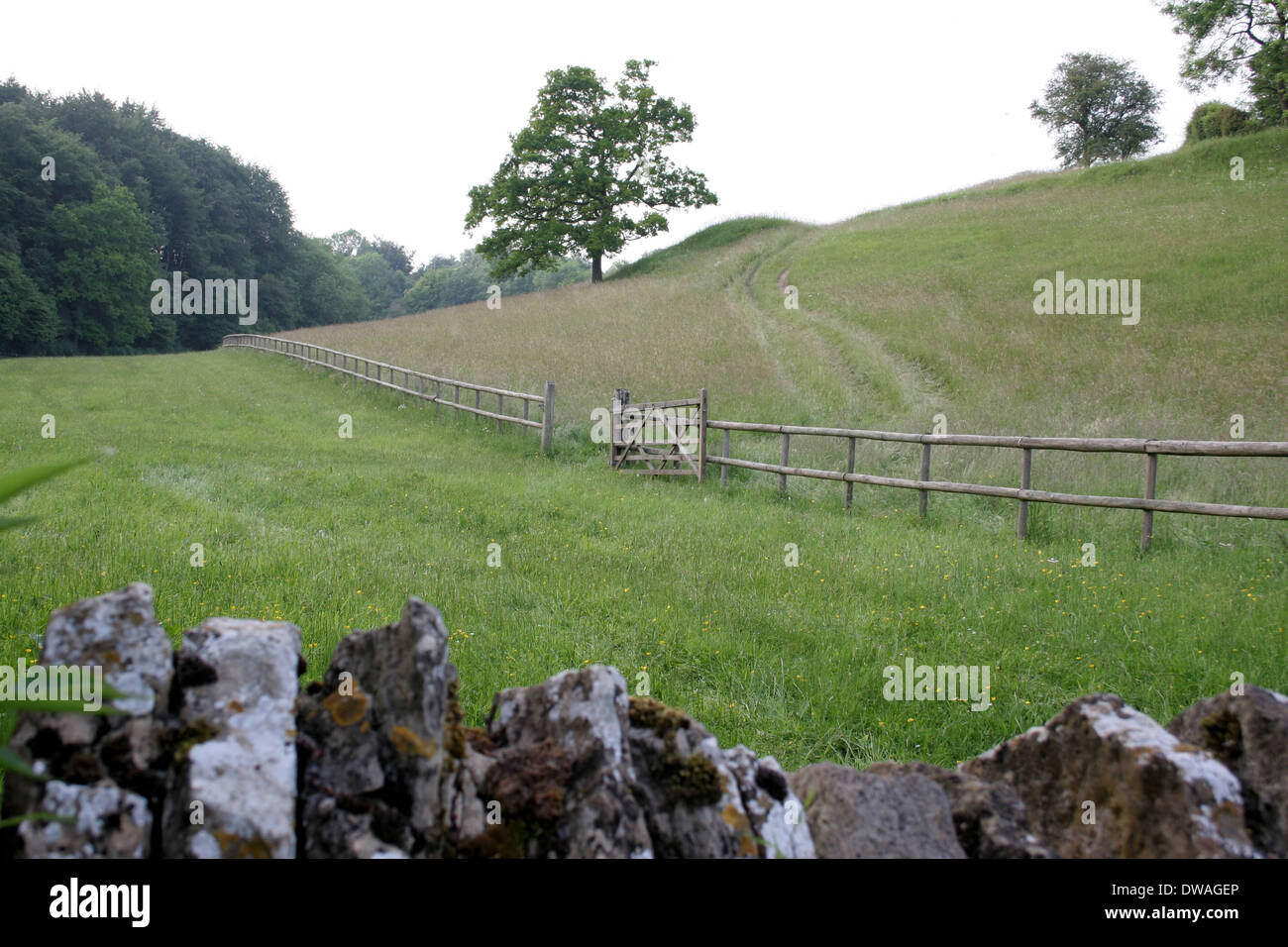 Stonesfield hi-res stock photography and images - Alamy