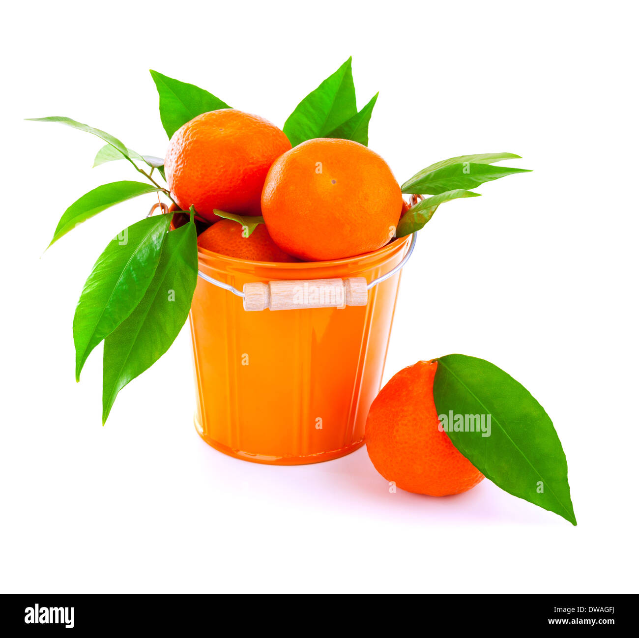 Metal orange bucket of fresh ripe mandarins isolated on white ...