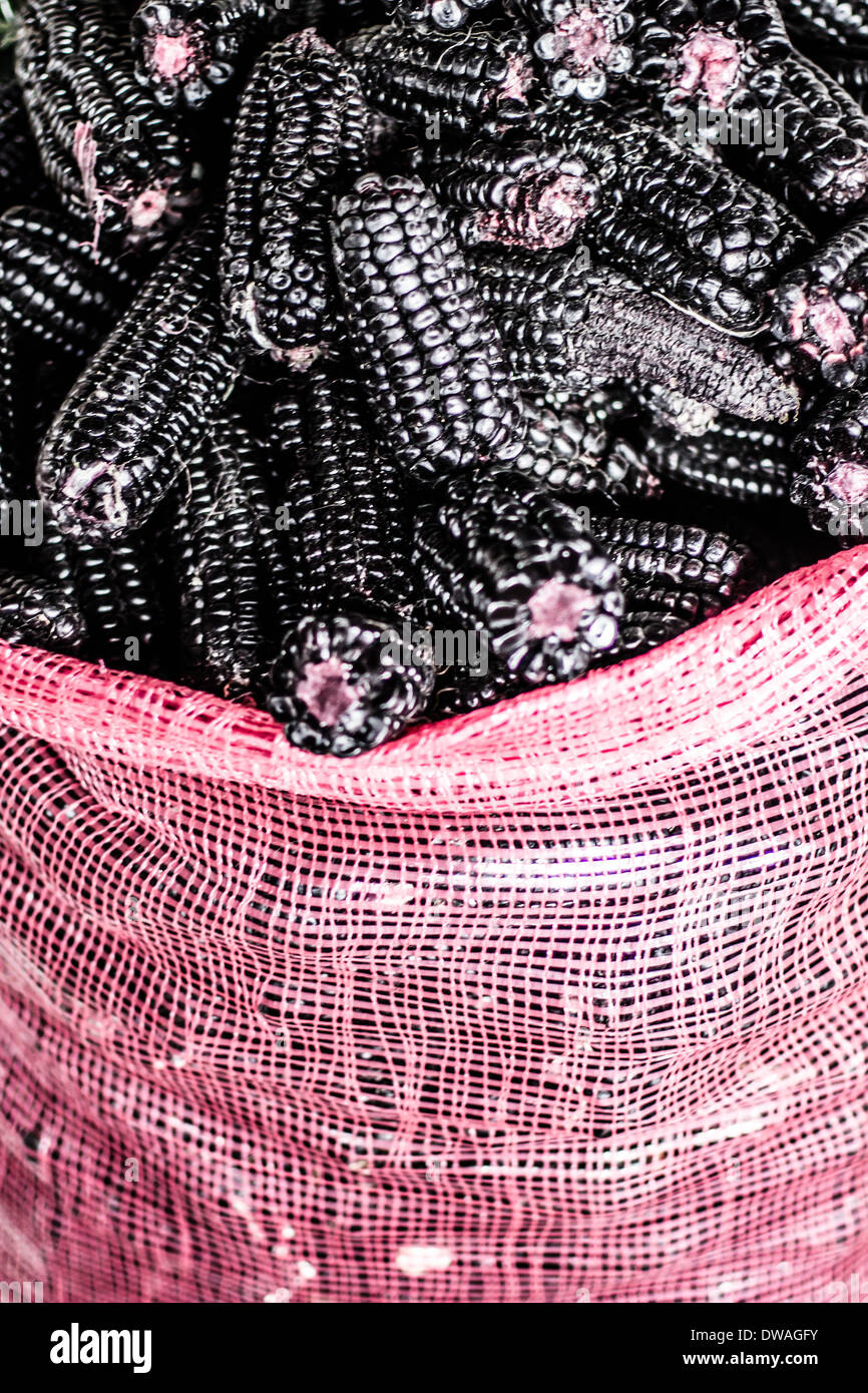 Coloured corn cobs in Peru Stock Photo - Alamy