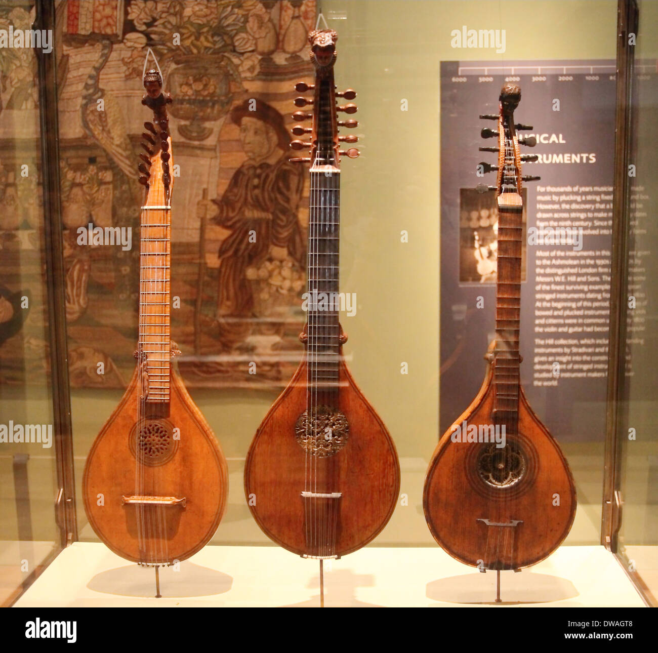 Cittern High Resolution Stock Photography and Images - Alamy