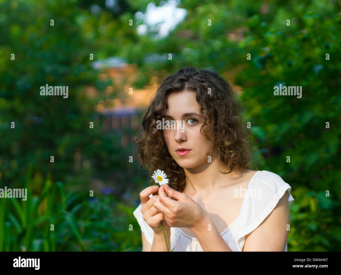 Beautiful romantic woman with daisy flower Stock Photo - Alamy
