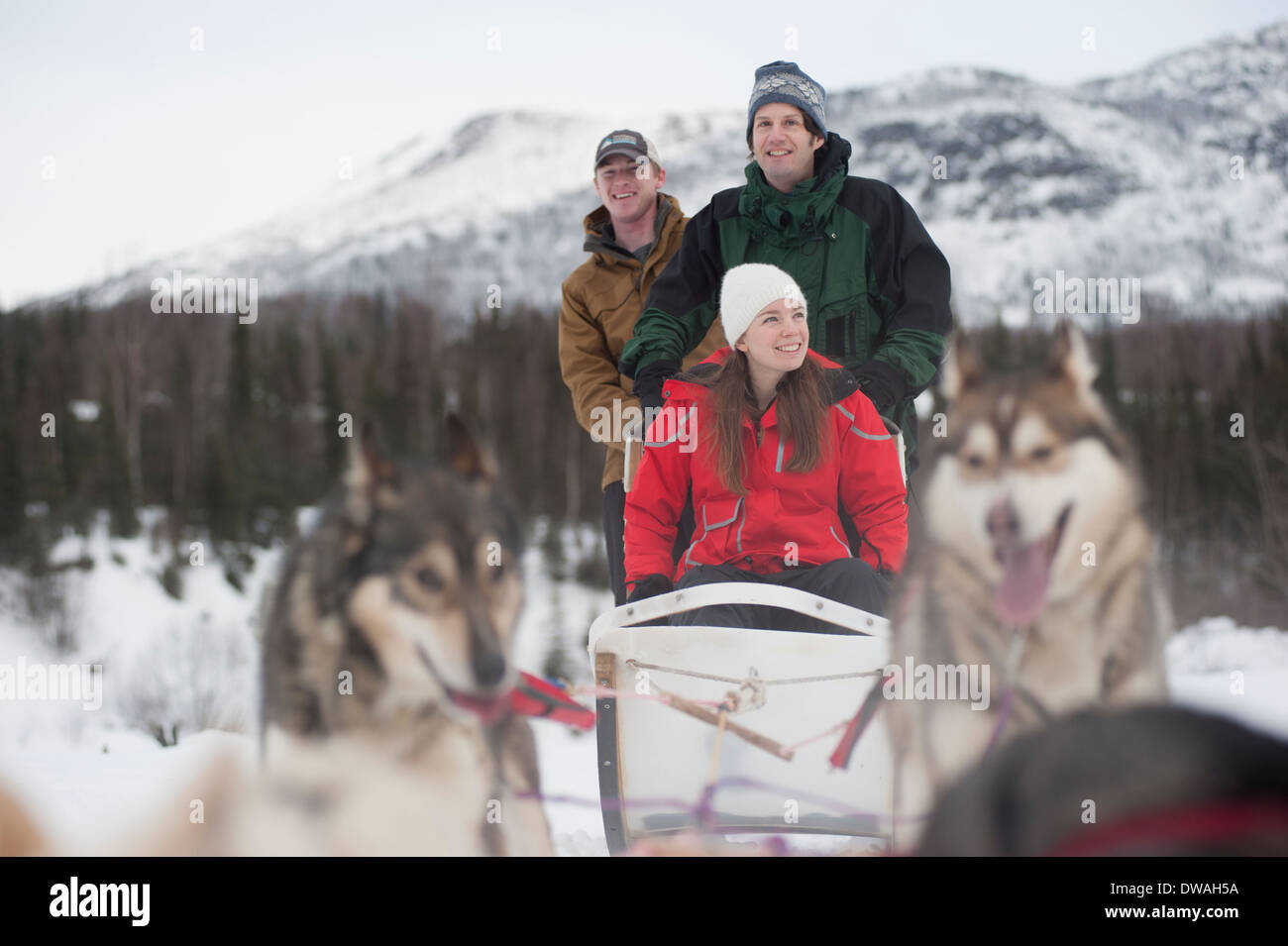 Horizontal photo of three people riding in dog sled in Alaska Stock ...