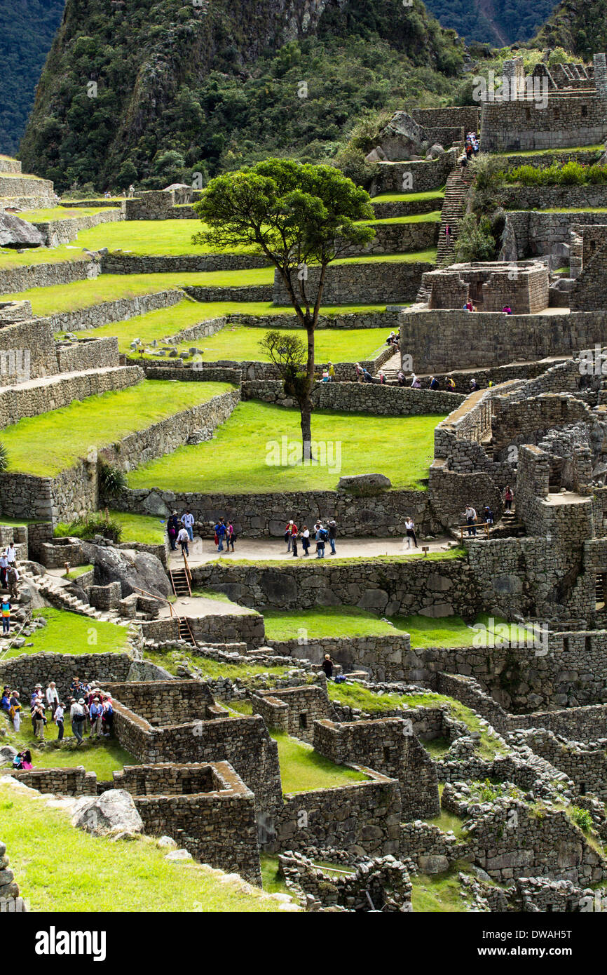 Machu Picchu, the ancient Inca city in the Andes, Peru Stock Photo - Alamy