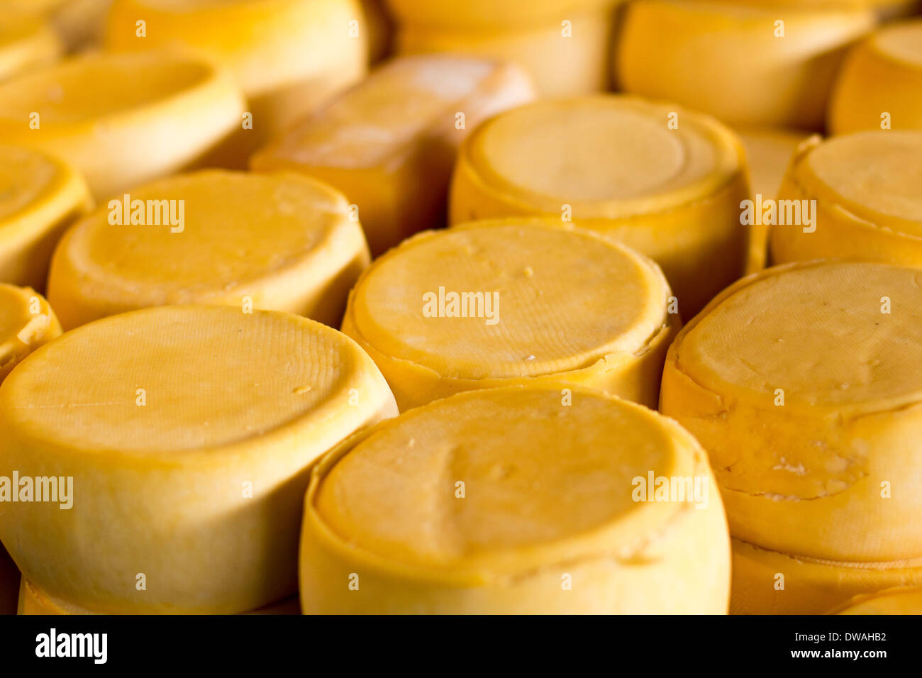 Pile of Peru cheese on the Cusco cheese market Stock Photo - Alamy