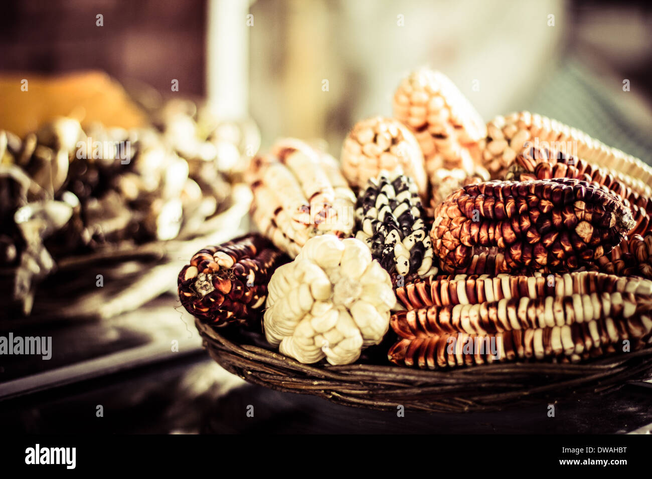 Coloured corn cobs in Peru Stock Photo - Alamy