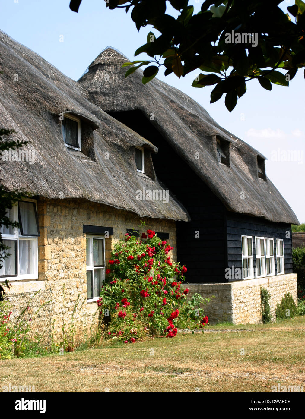 Wytham oxfordshire hi-res stock photography and images - Alamy