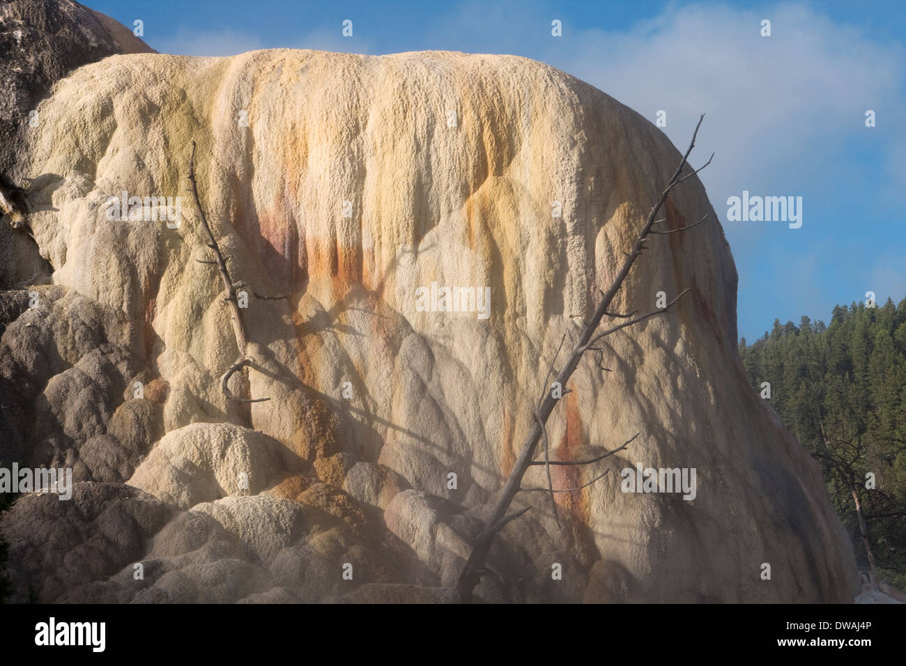 Orange Spring Mound along the Upper Terrace Loop near Mammoth Hot ...