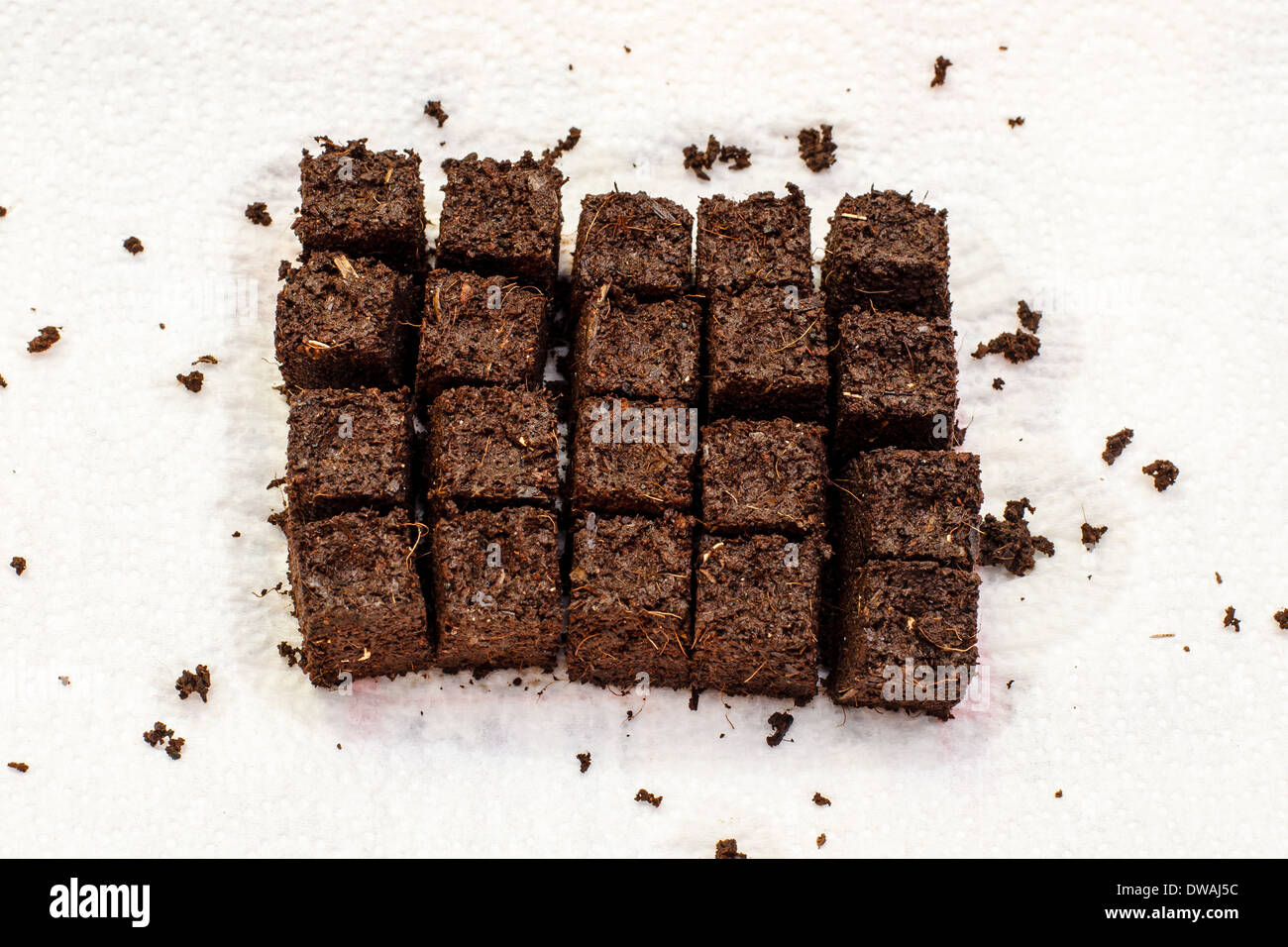 Soil blocks hi-res stock photography and images - Alamy