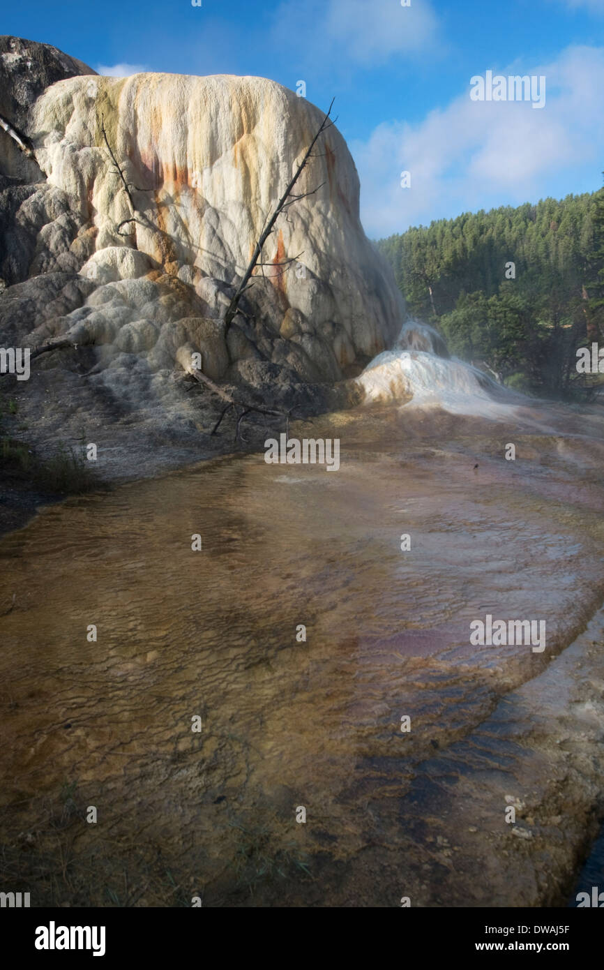 Orange Spring Mound along the Upper Terrace Loop near Mammoth Hot ...