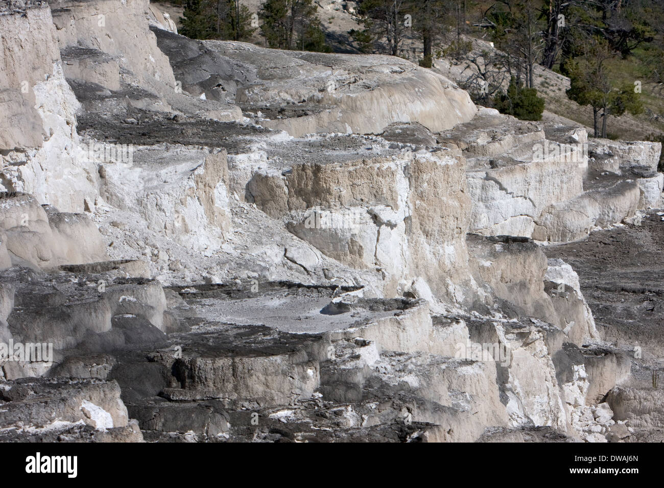 Palette Spring at Mammoth Hot Springs, Yellowstone National Park ...