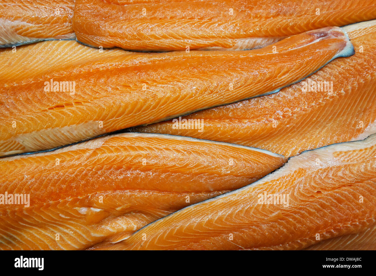 Whole salmon fish shop display hi-res stock photography and images - Alamy