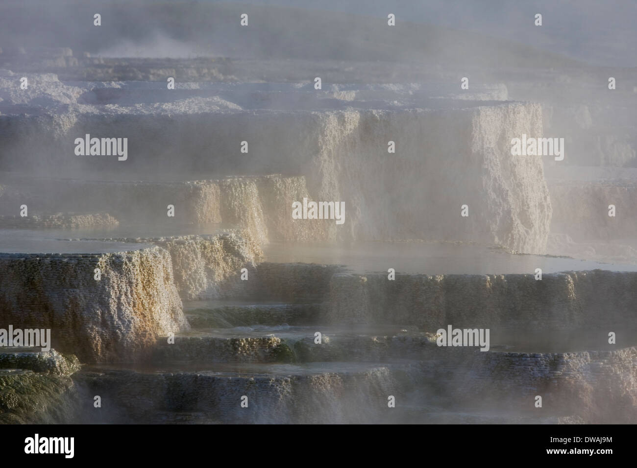 Steam above Main Terrace at Mammoth Hot Springs in Yellowstone National ...