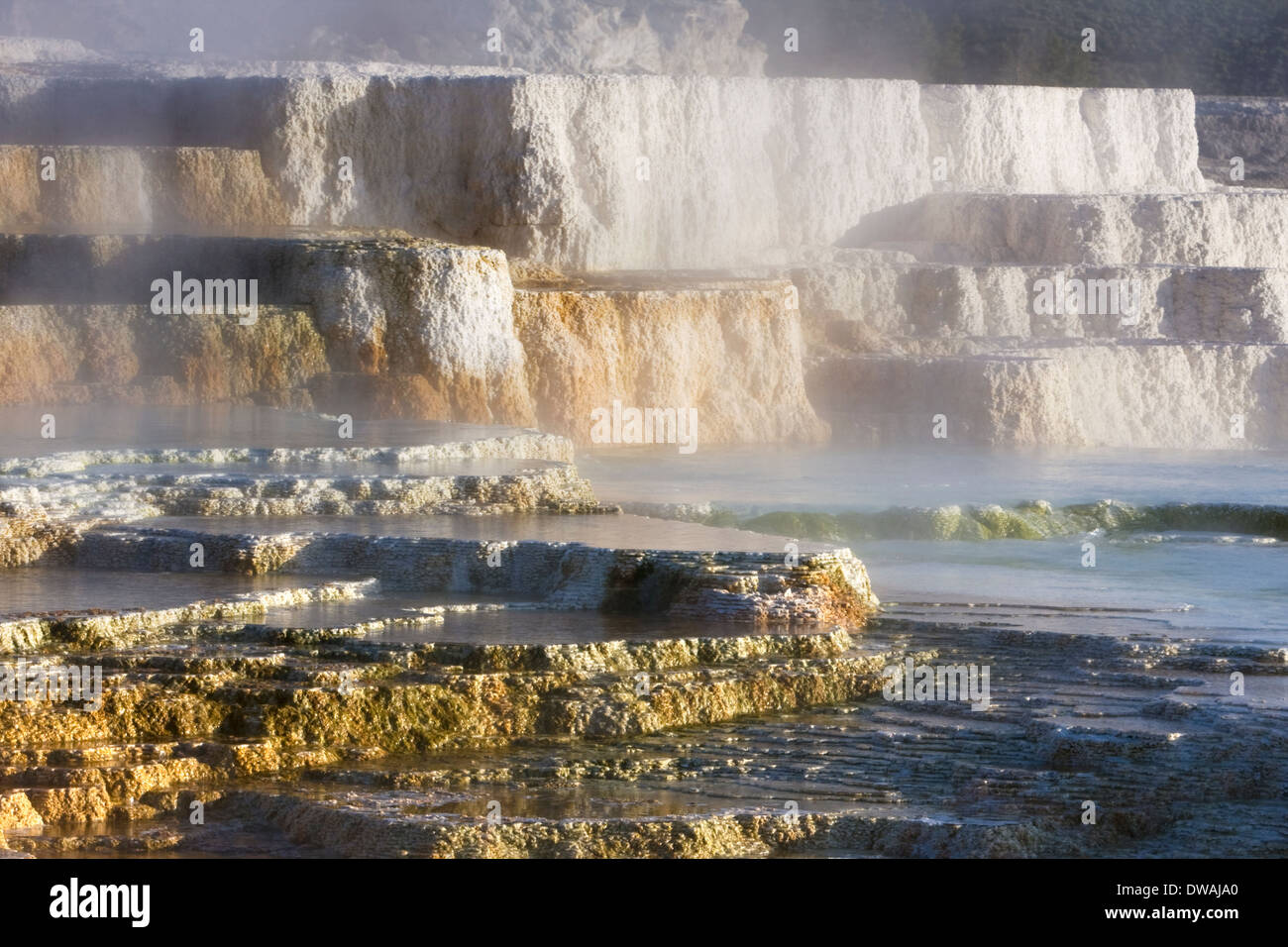 Yellowstone thermal pools hi-res stock photography and images - Alamy
