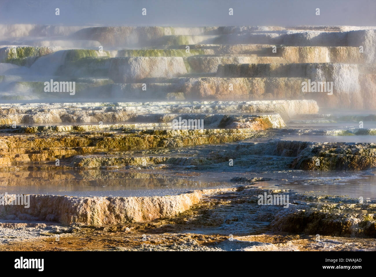 Pools in Main Terrace at Mammoth Hot Springs, Yellowstone National Park ...