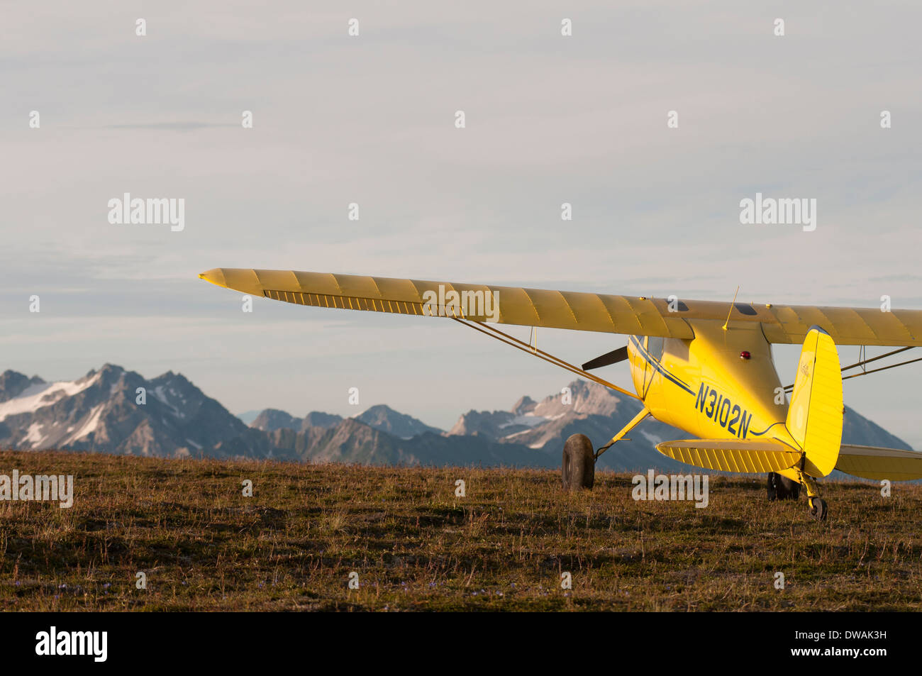 Yellow Cessna 120 single engine bush plane on the tundra in the ...