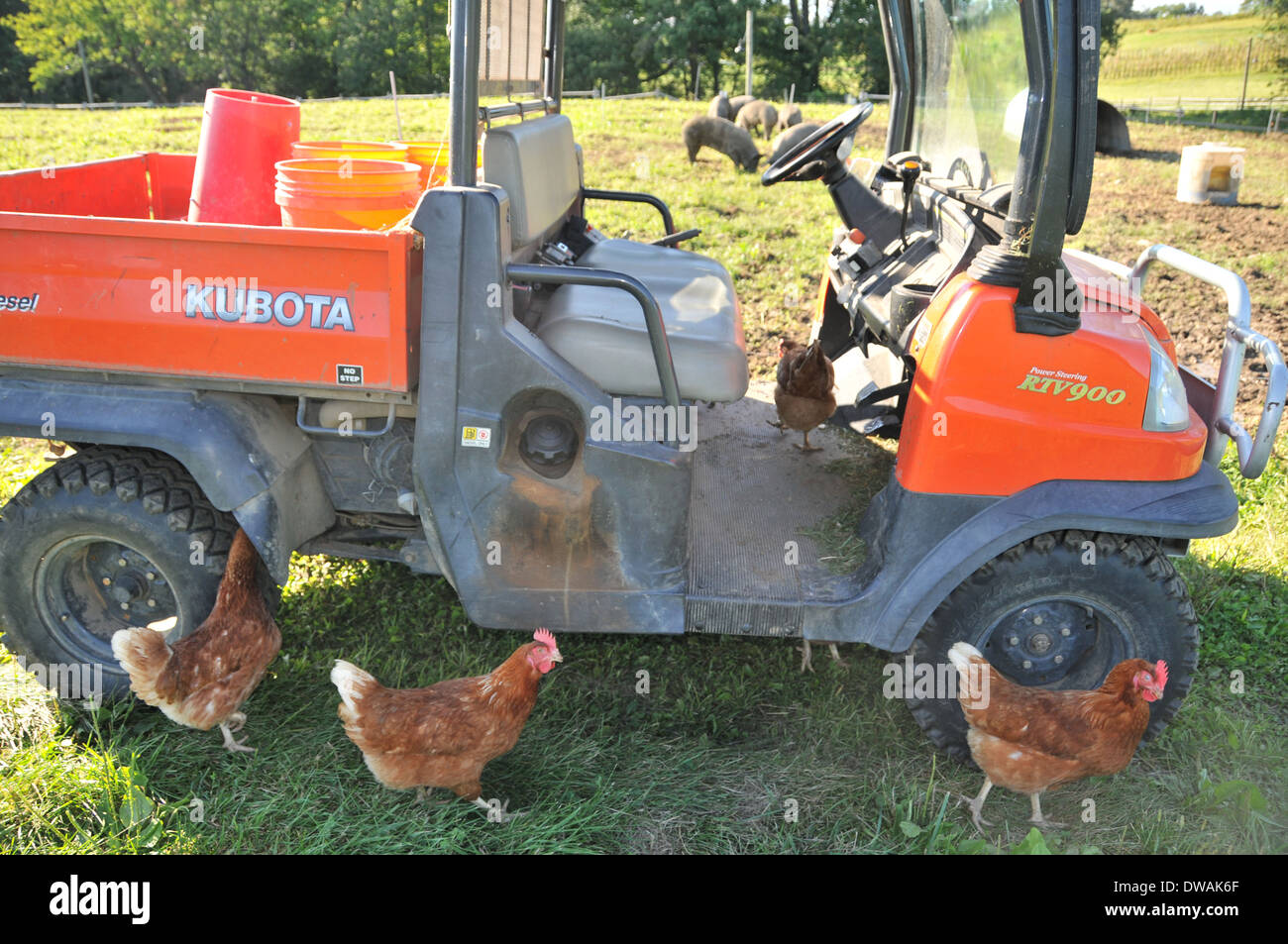 Kubota red tractor hi-res stock photography and images - Alamy
