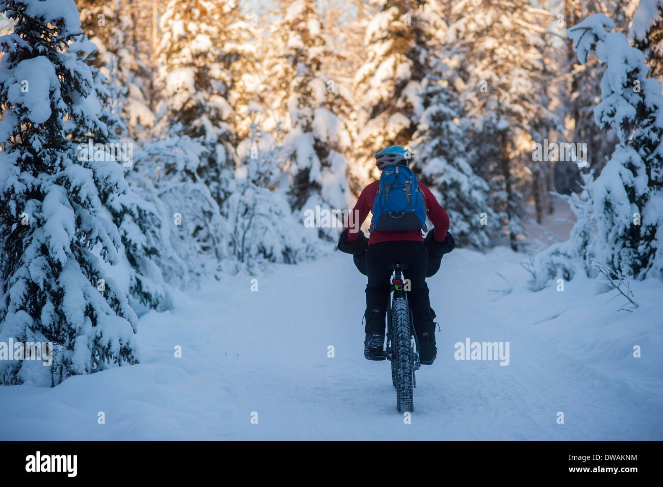 Photo of person riding a fat tire snow bike on the Speedway trail ...