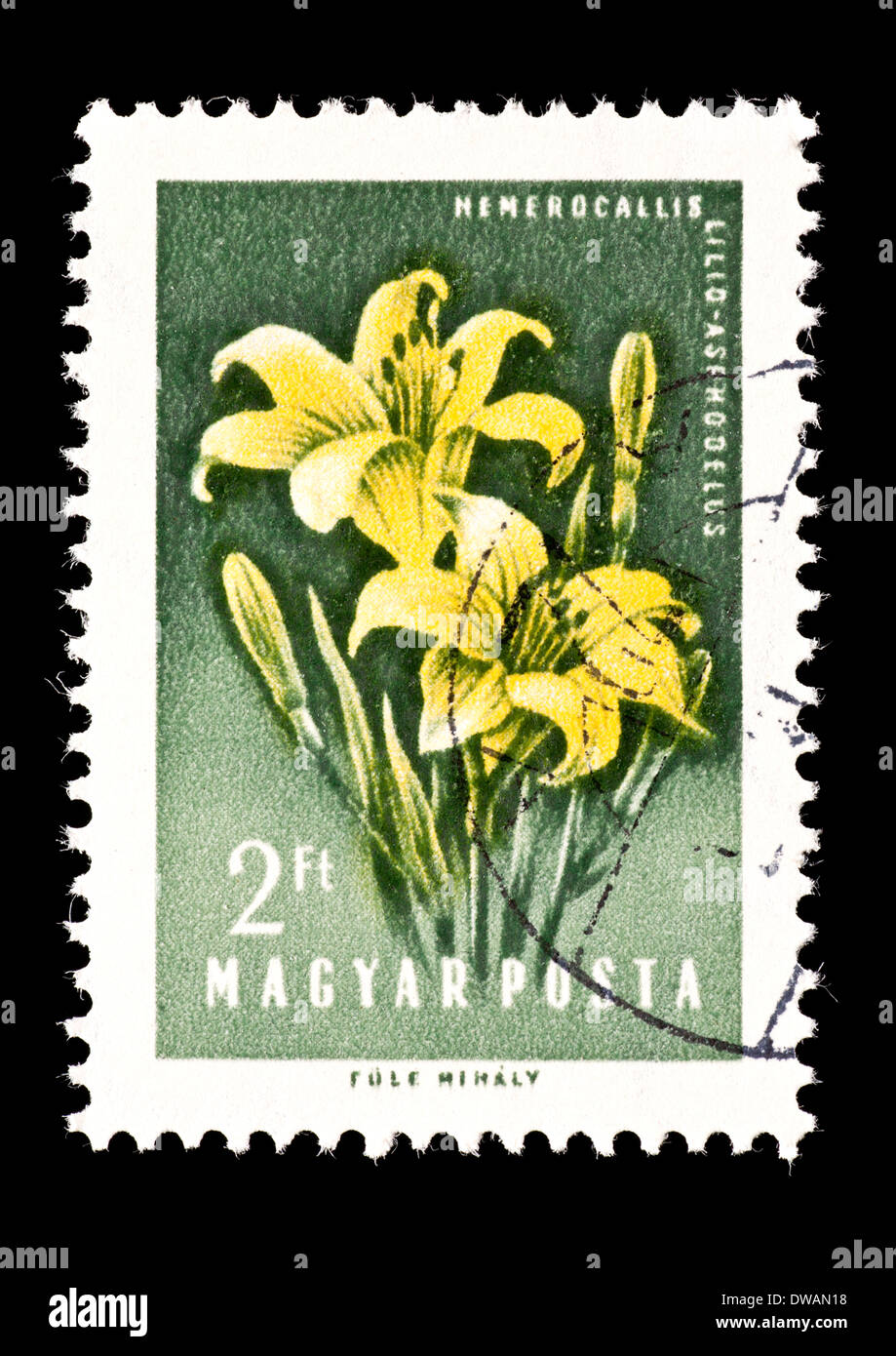 Postage stamp from Hungary depicting lilies Stock Photo - Alamy