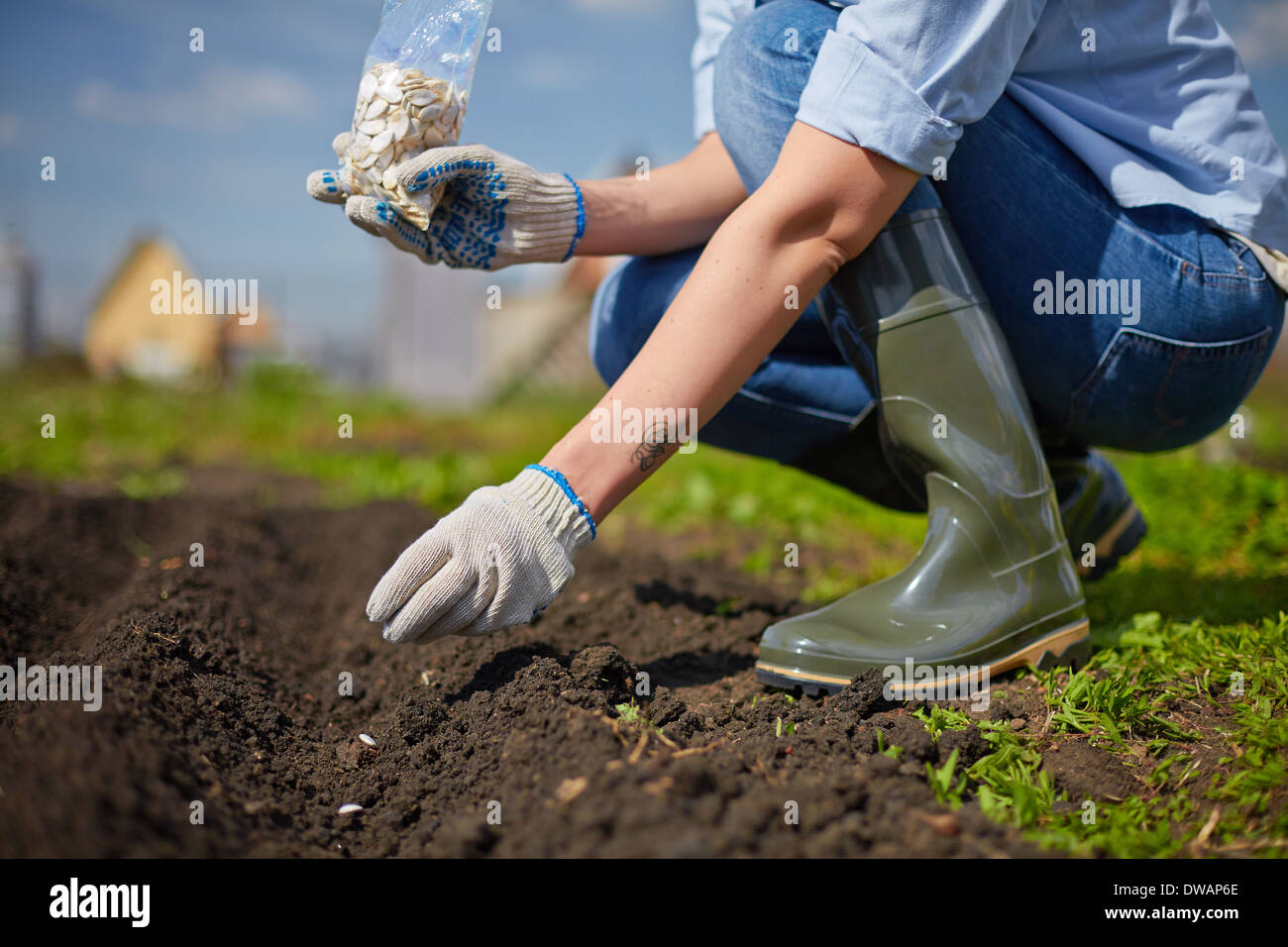 Image female farmer sowing seed hi-res stock photography and images - Alamy