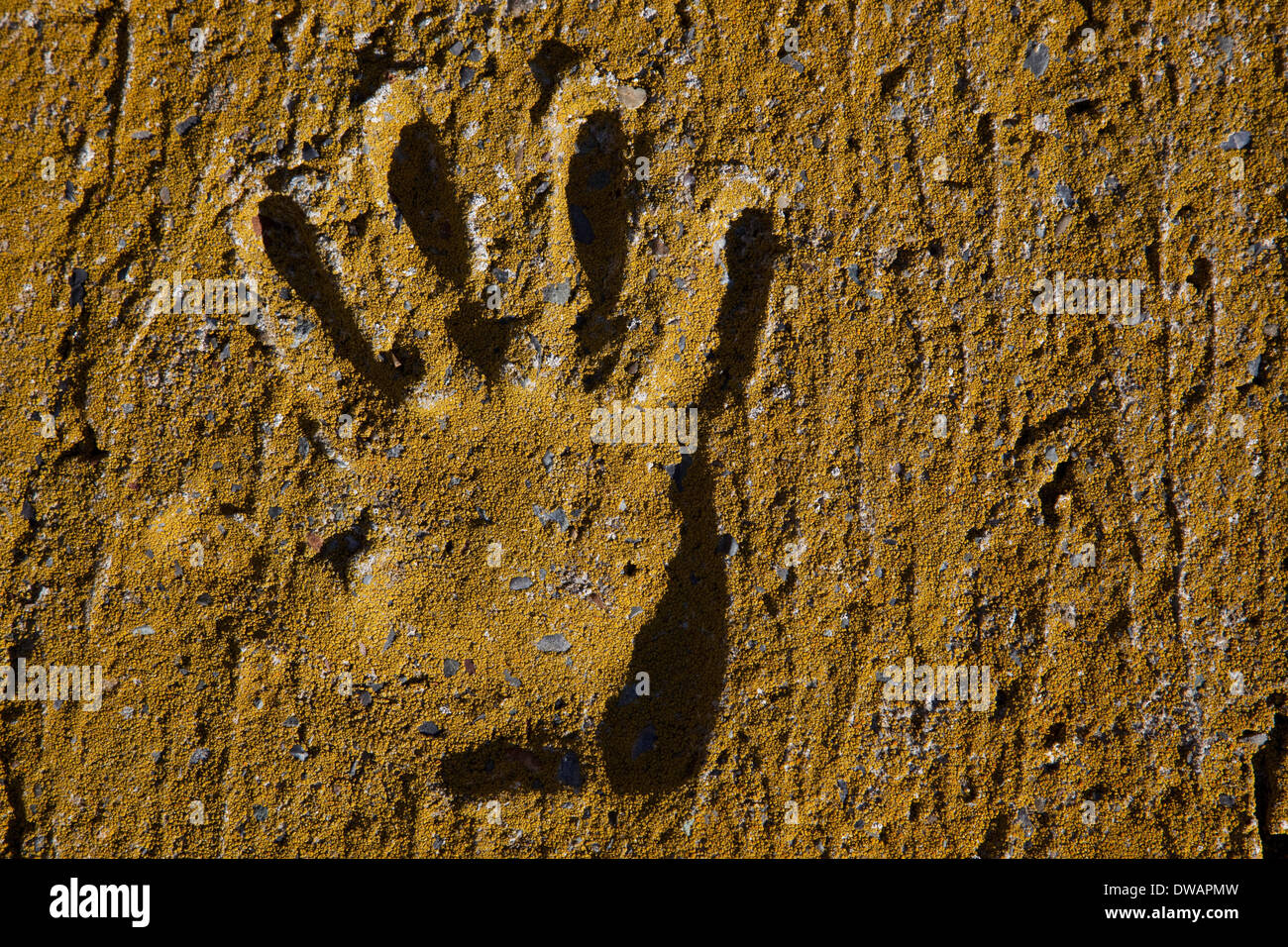 Hand texture hi-res stock photography and images - Alamy