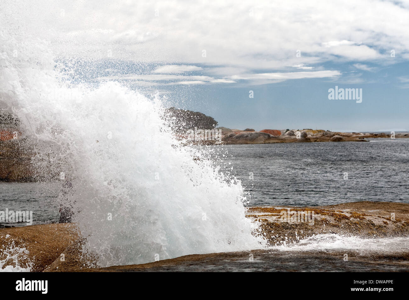 Bicheno Blowhole, Tasmania, Australia Stock Photo - Alamy