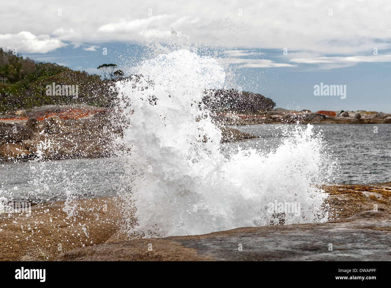 Bicheno Blowhole, Tasmania, Australia Stock Photo - Alamy