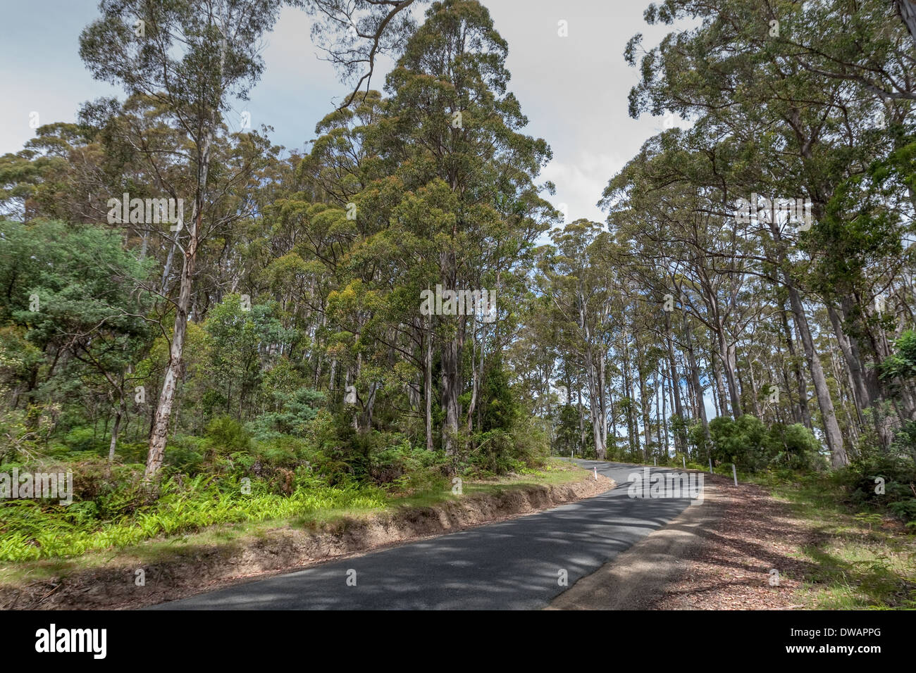 Mount Elephant Pass, Tasmania, Australia Stock Photo - Alamy Mount Elephant Pass, Tasmania, Australia Stock Photo - Alamy
