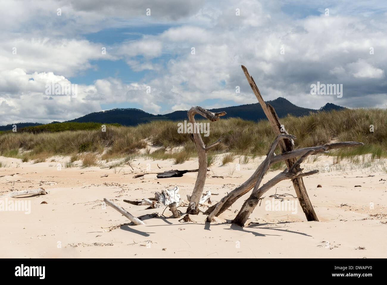 Scamander beach hi-res stock photography and images - Alamy