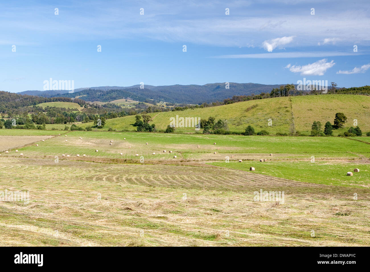 Goshen farm hi-res stock photography and images - Alamy