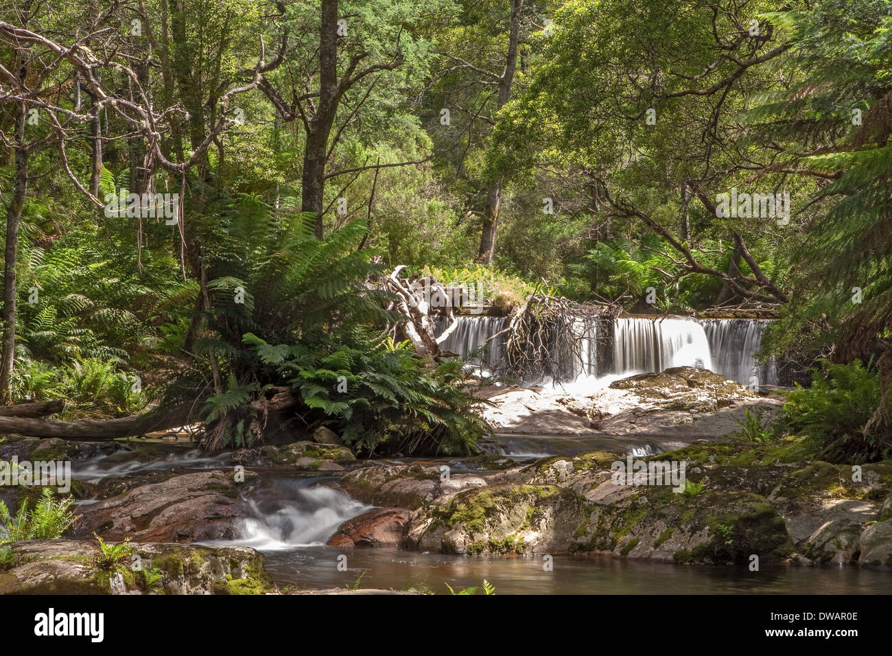 Halls Falls, Rock Pool, The Blue Tier Forest Reserve, near St Helen's ...