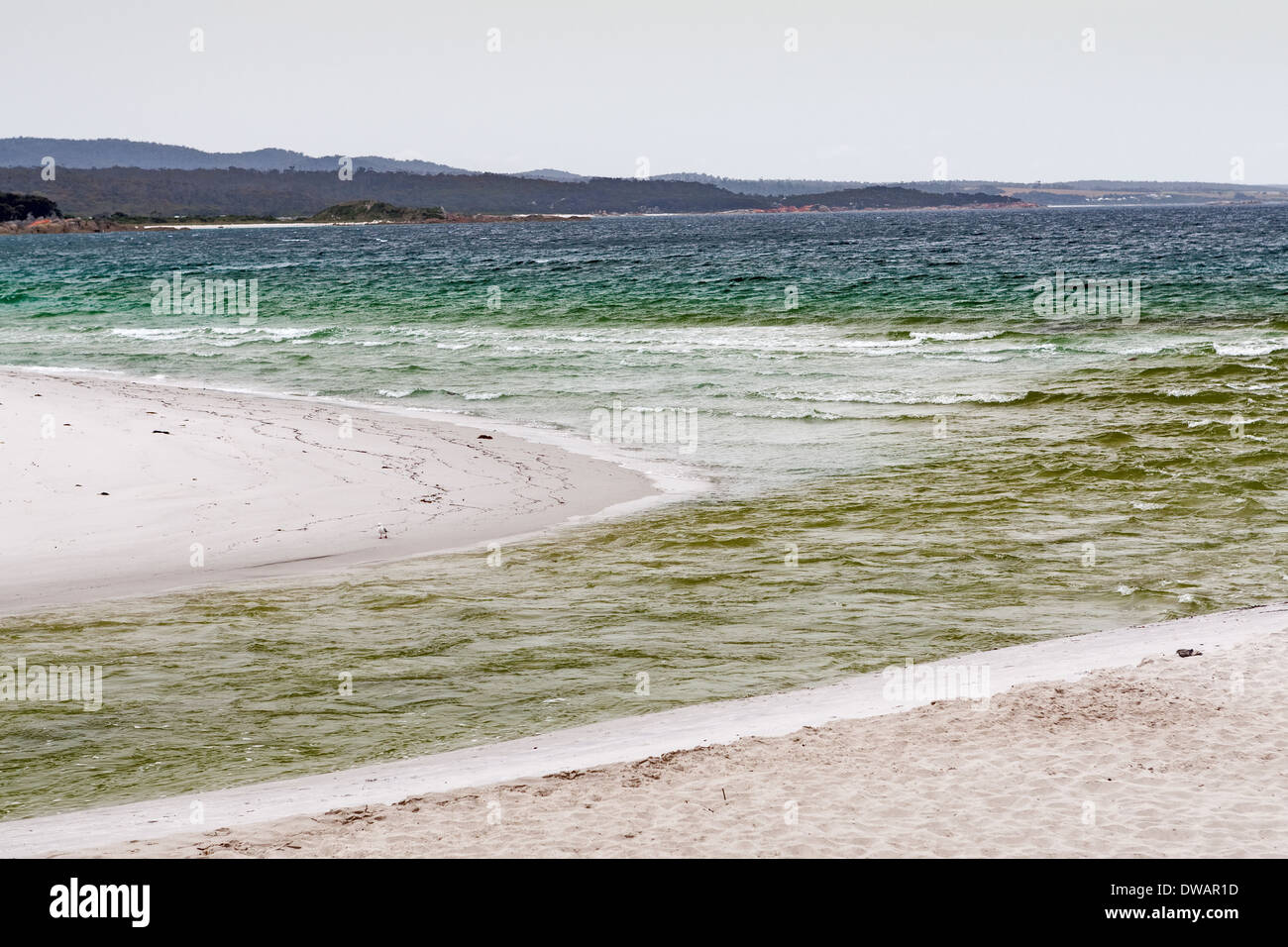 Binalong Bay, Tasmania, Australia Stock Photo - Alamy